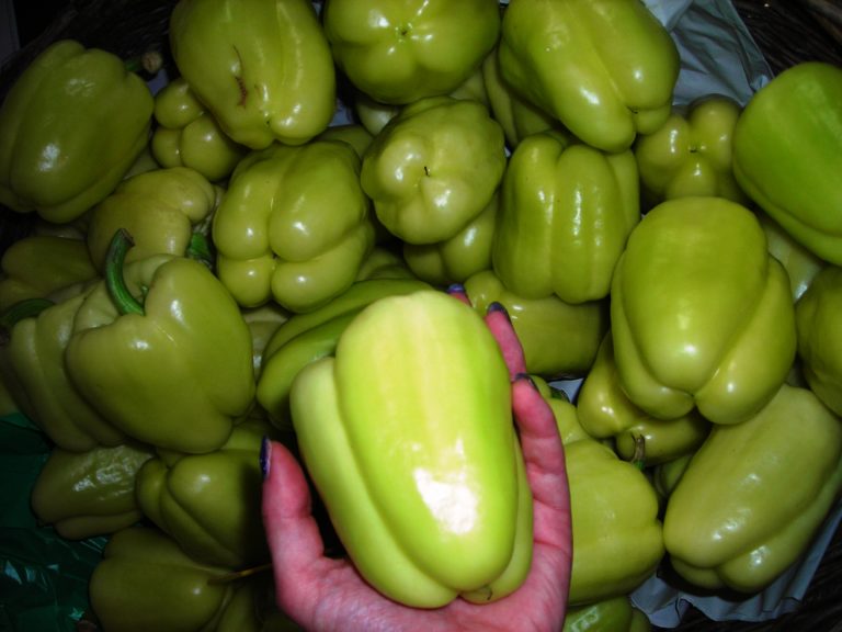 domača paprika - TRNOVSKA ZELIŠČA